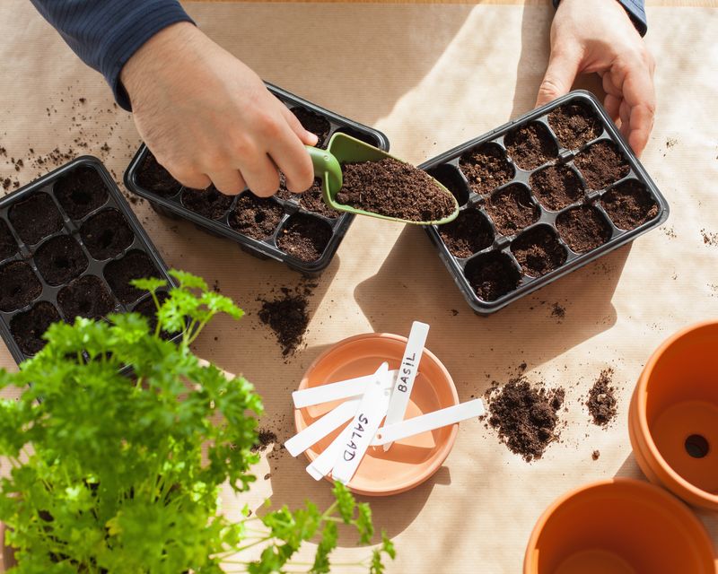 Growing with kids 101