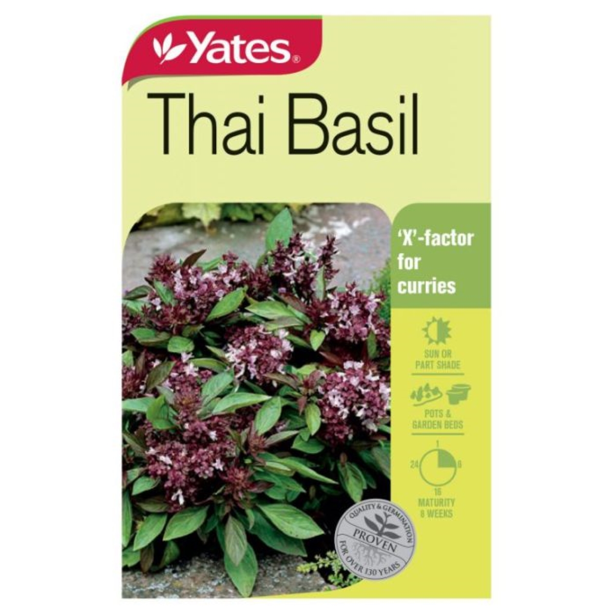 Thai Basil | Garden Seeds Yates Australia