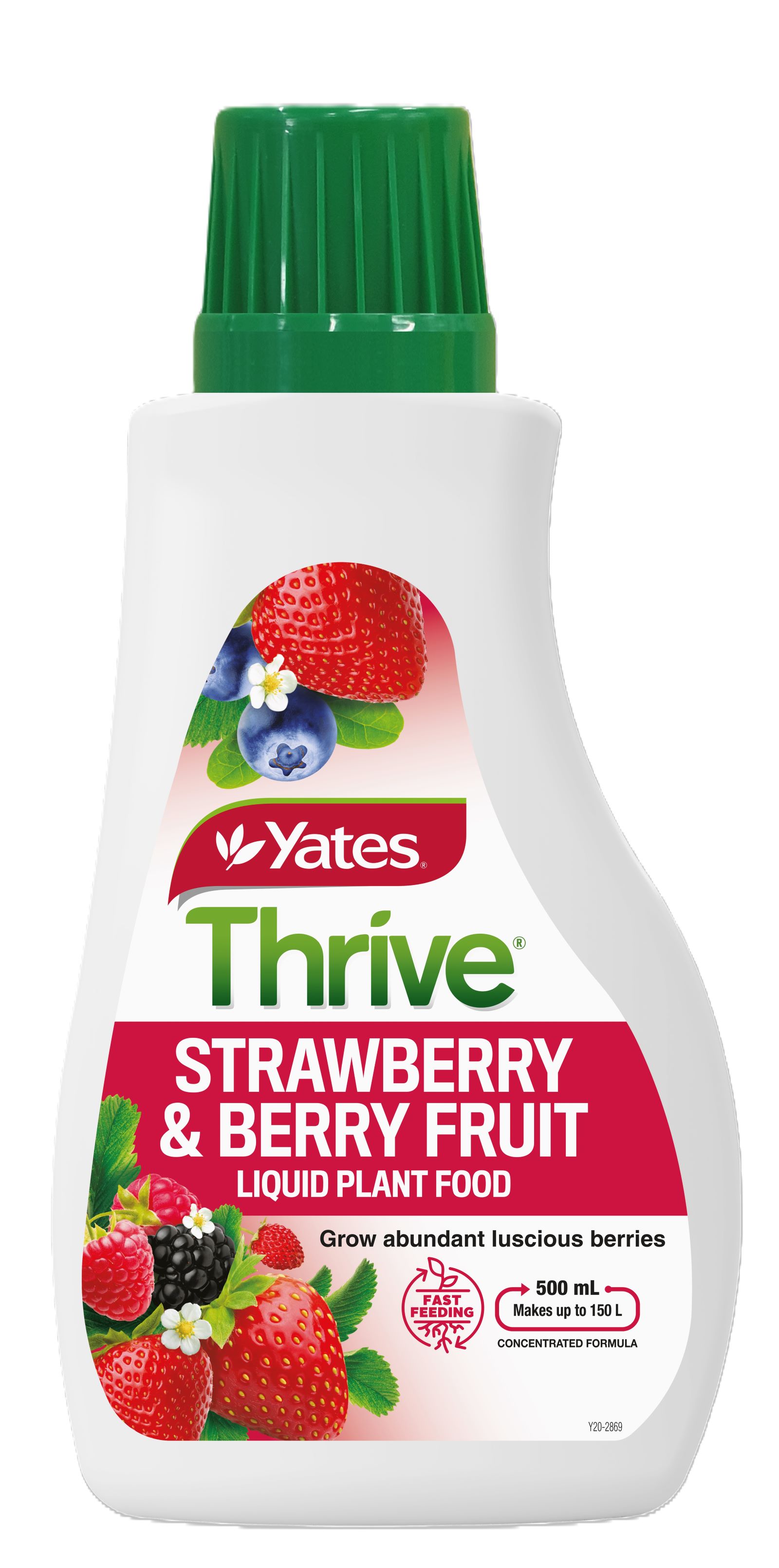 How to Grow Raspberry | Yates Australia