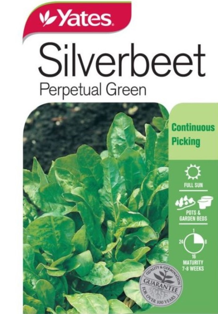 How to Grow Silverbeet | Yates Australia