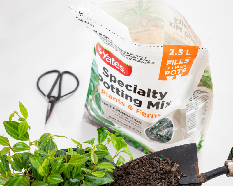 Yates Pots, Potting Mixes, Propagation Mixes, & Hormone Products for ...