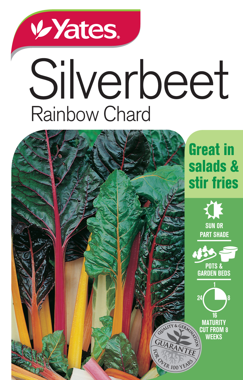 Silverbeet Rainbow Chard | Garden Seeds Yates Australia