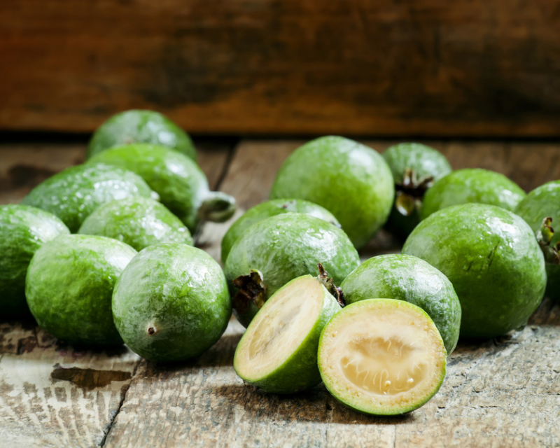 How to Grow Guava | Yates Australia