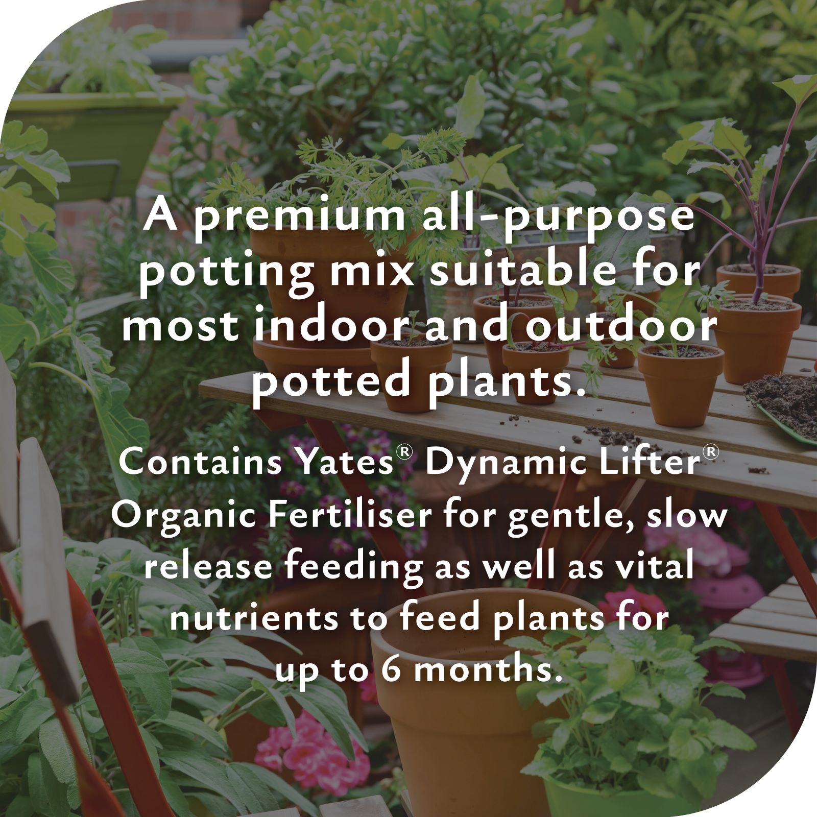 Yates 10L Dynamic Lifter Potting Mix