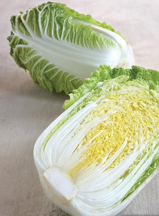 Chinese Cabbage Wombok | Garden Seeds Yates Australia