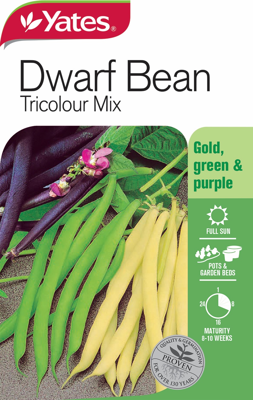 Dwarf Beans Tricolour Mix | Garden Seeds Yates Australia
