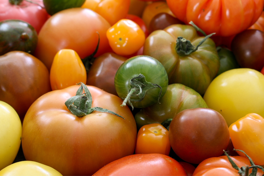 Heirloom Tomato Mix Seeds
