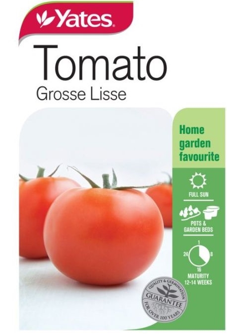 How to Grow Tomatoes | Yates Australia