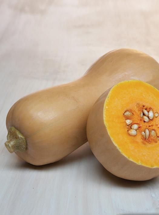 Pumpkin Butternut | Garden Seeds Yates Australia