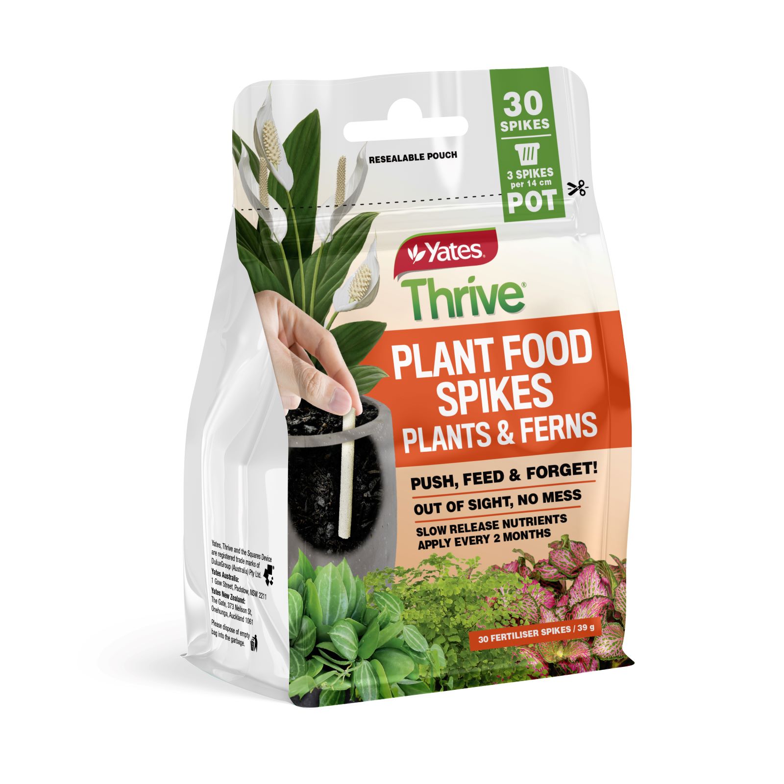 How to Grow Happy Plant | Yates Australia