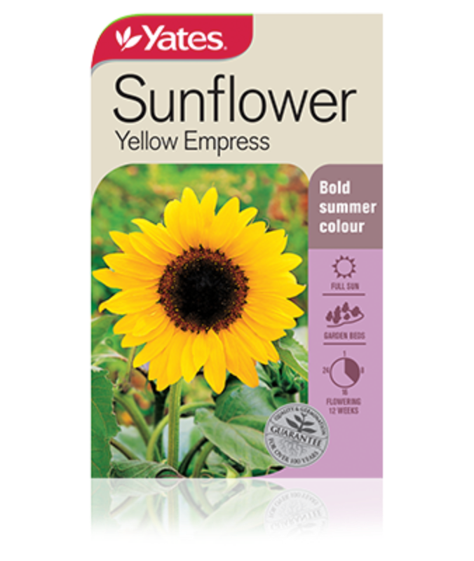 Sunflower Yellow Empress | Garden Seeds Yates Australia
