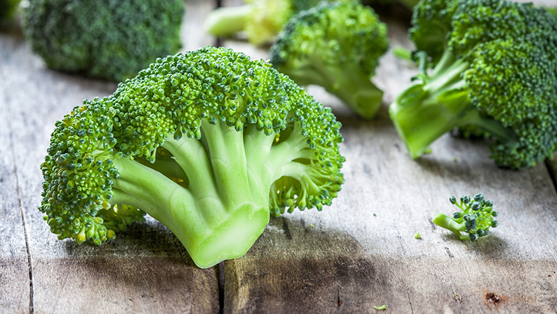 Autumn is the Perfect Time for Planting | Yates Australia