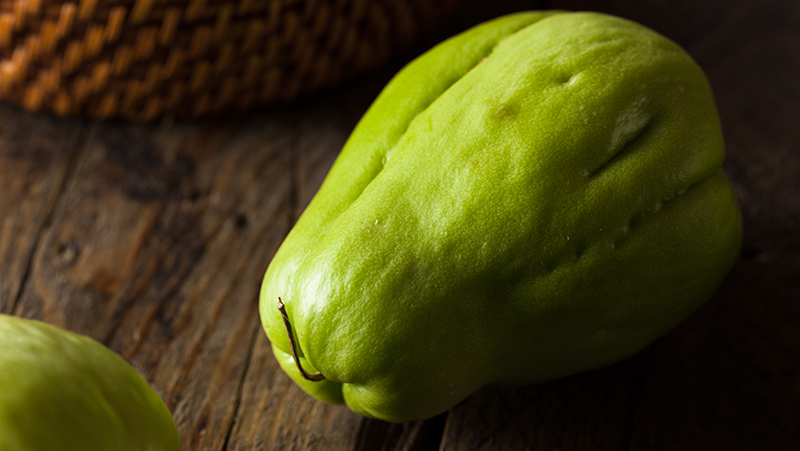 How to Grow Choko | Yates Australia