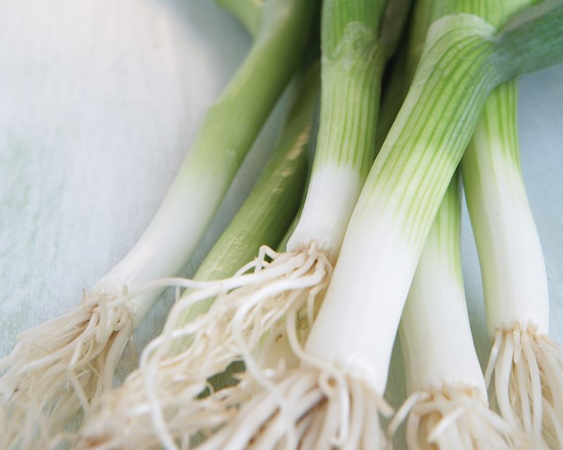How to grow Spring Onion