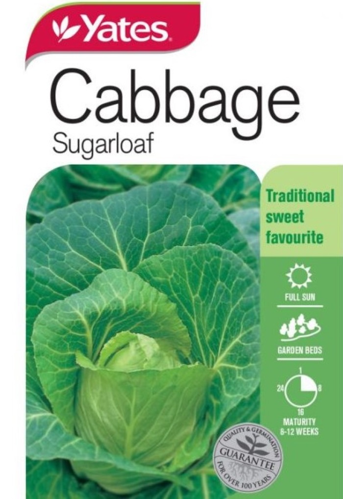 Cabbage Sugarloaf | Garden Seeds Yates Australia