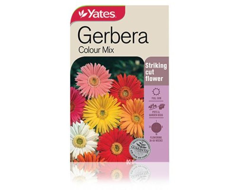 Gerbera Colour Mix | Garden Seeds Yates Australia
