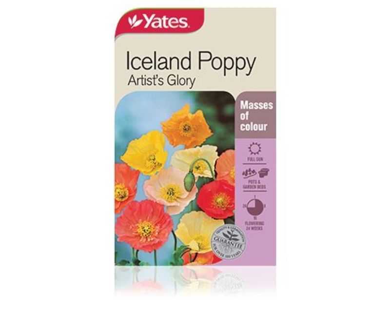 How to Grow Poppy | Yates Australia