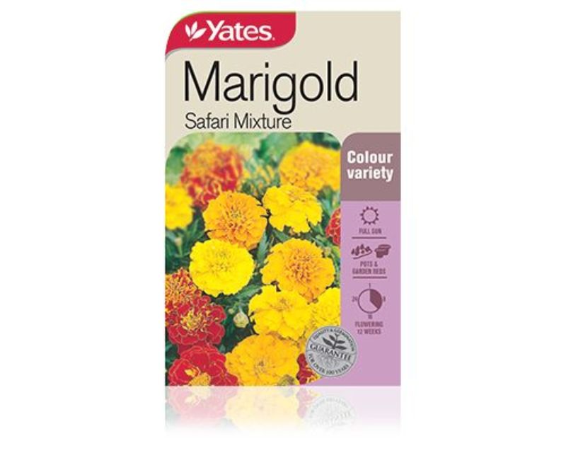 Marigold Safari Mixture | Garden Seeds Yates Australia
