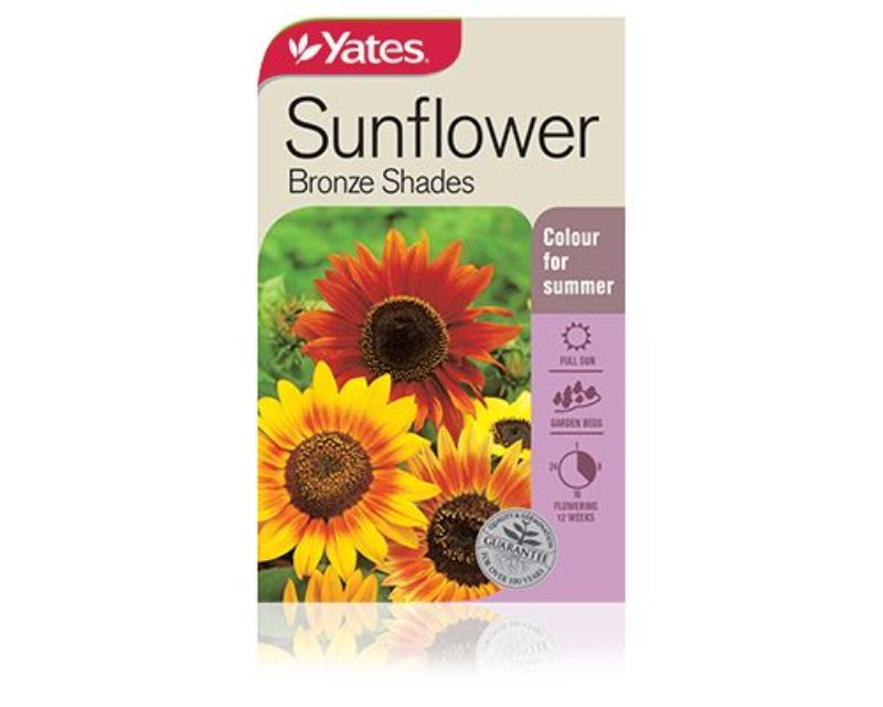 How to Grow Sunflowers | Yates Australia