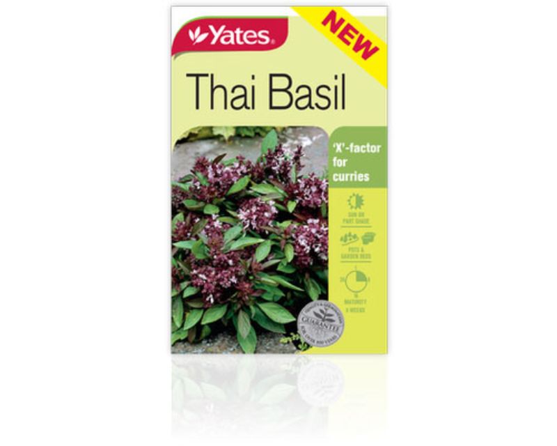 How to Grow Sweet Basil, Thai Basil, & Purple Basil | Yates Australia