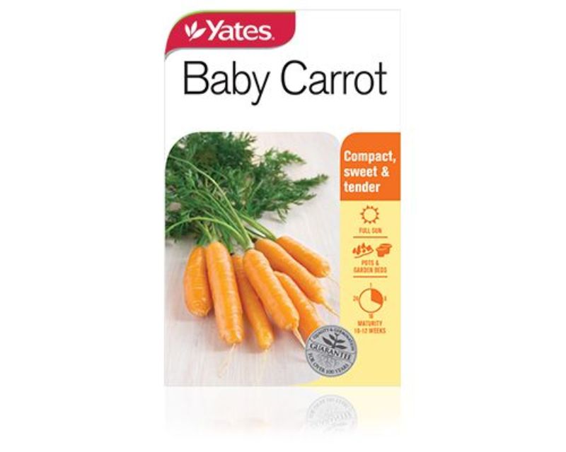 How to Grow Carrots | Yates Australia
