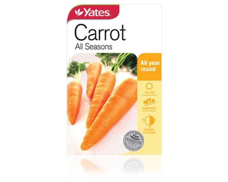 How to Grow Carrots | Yates Australia