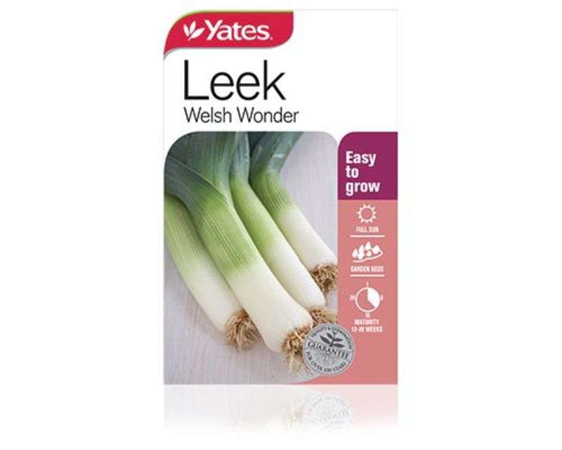 How to Grow Leeks | Yates Australia