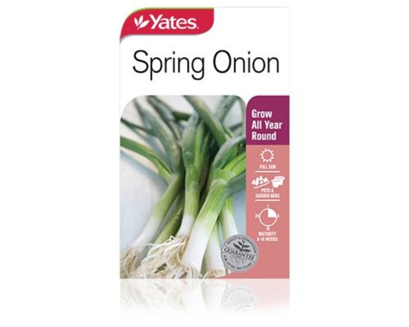 How to Grow Spring Onions | Yates Australia