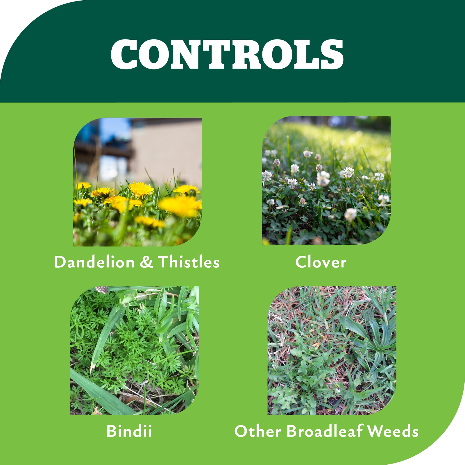 Yates 4L Weed 'n' Feed Hose-On