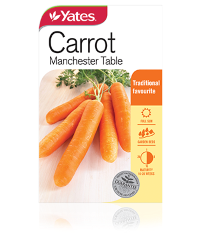 Carrot Manchester Table | Garden Seeds Yates Australia