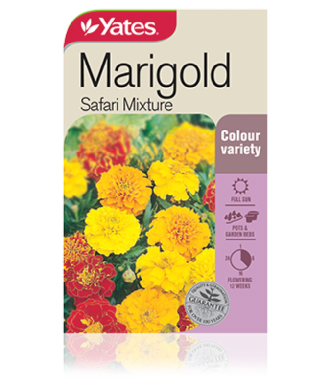 Marigold Safari Mixture | Garden Seeds Yates Australia