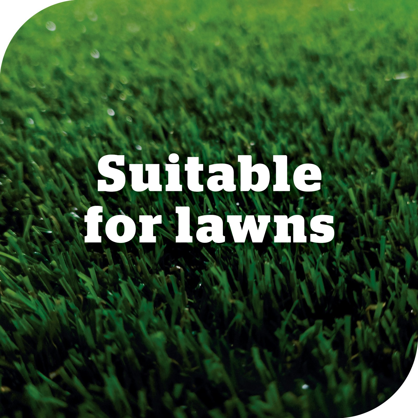 Yates Advanced Lawn Insect Killer 200ml