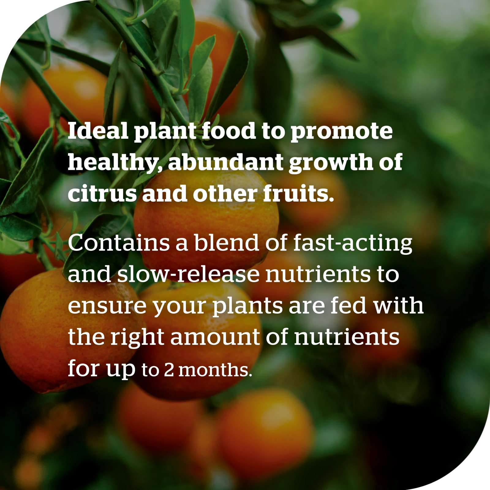 Yates 7kg Dynamic Lifter Fruit & Citrus Pelletised Plant Food