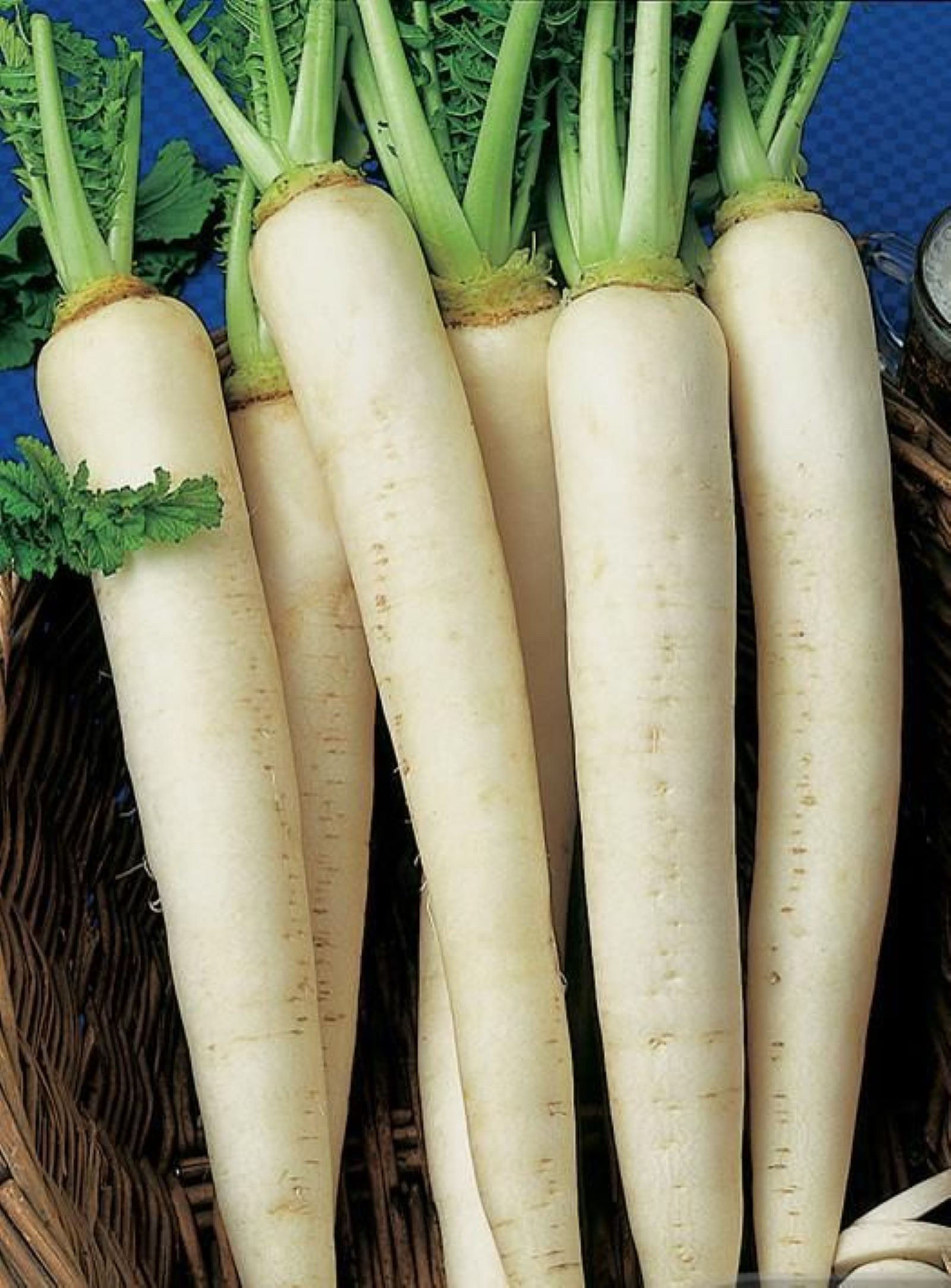 Radish White Icicle | Garden Seeds Yates Australia