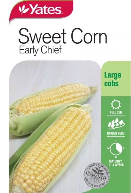 Sweet Corn Early Chief | Garden Seeds Yates Australia