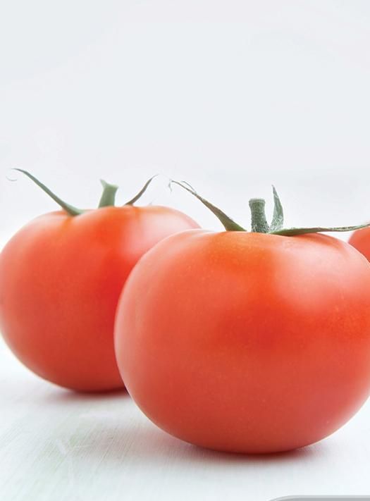 Tomato Grosse Lisse | Garden Seeds Yates Australia