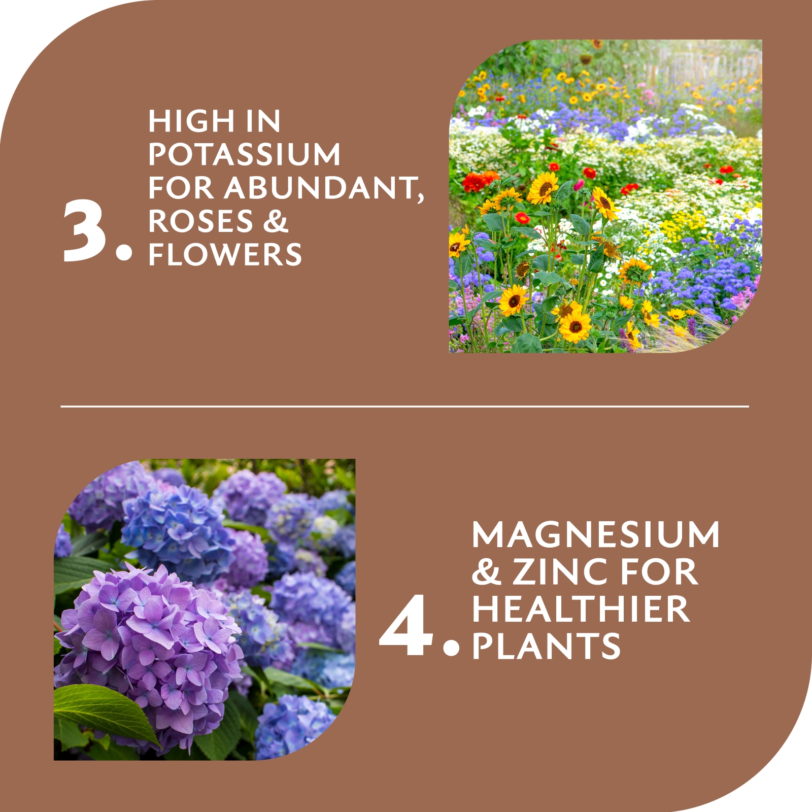 Yates 7kg Dynamic Lifter Roses & Flowers Pelletised Plant Food