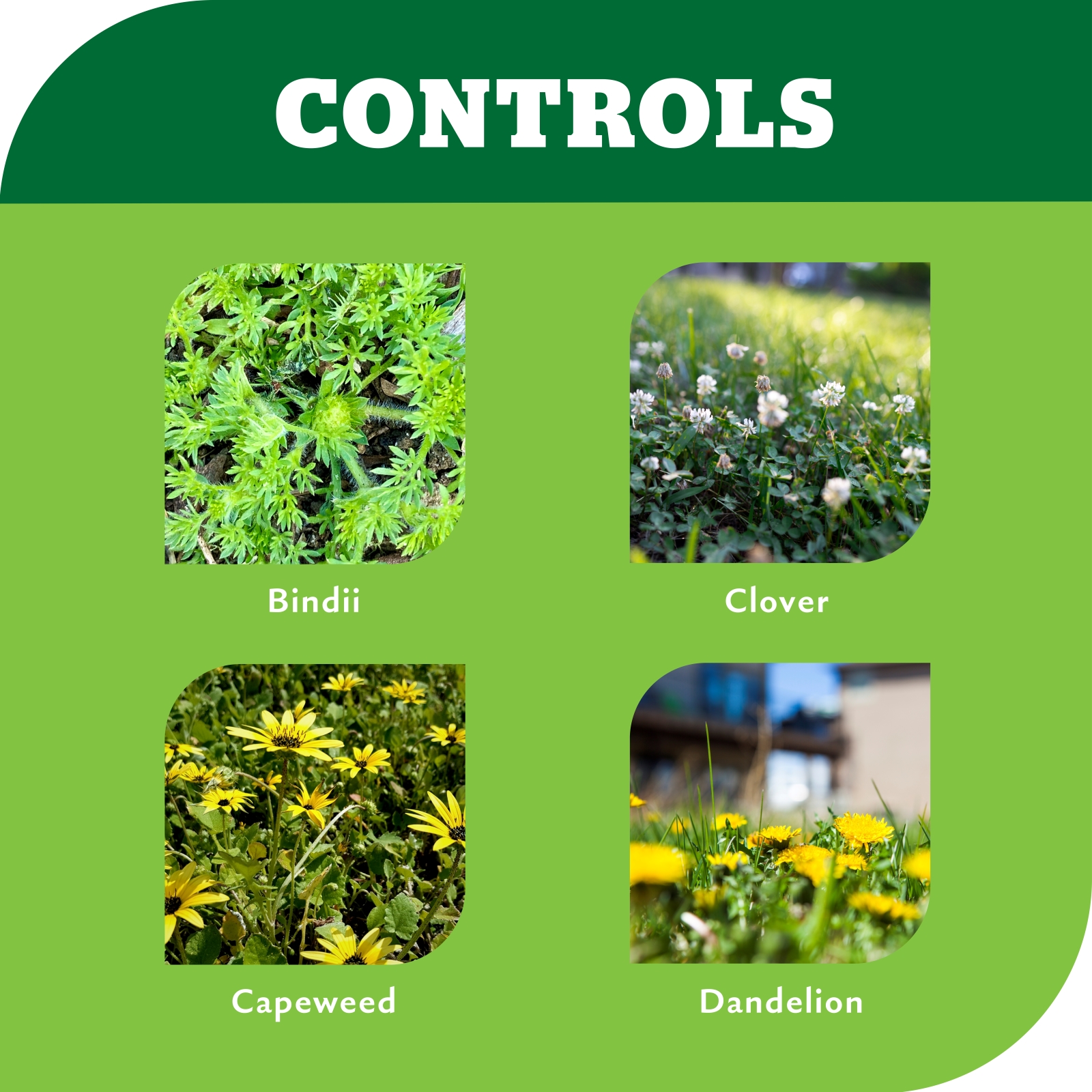 Yates 500mL Bindii & Clover Weeder Concentrate