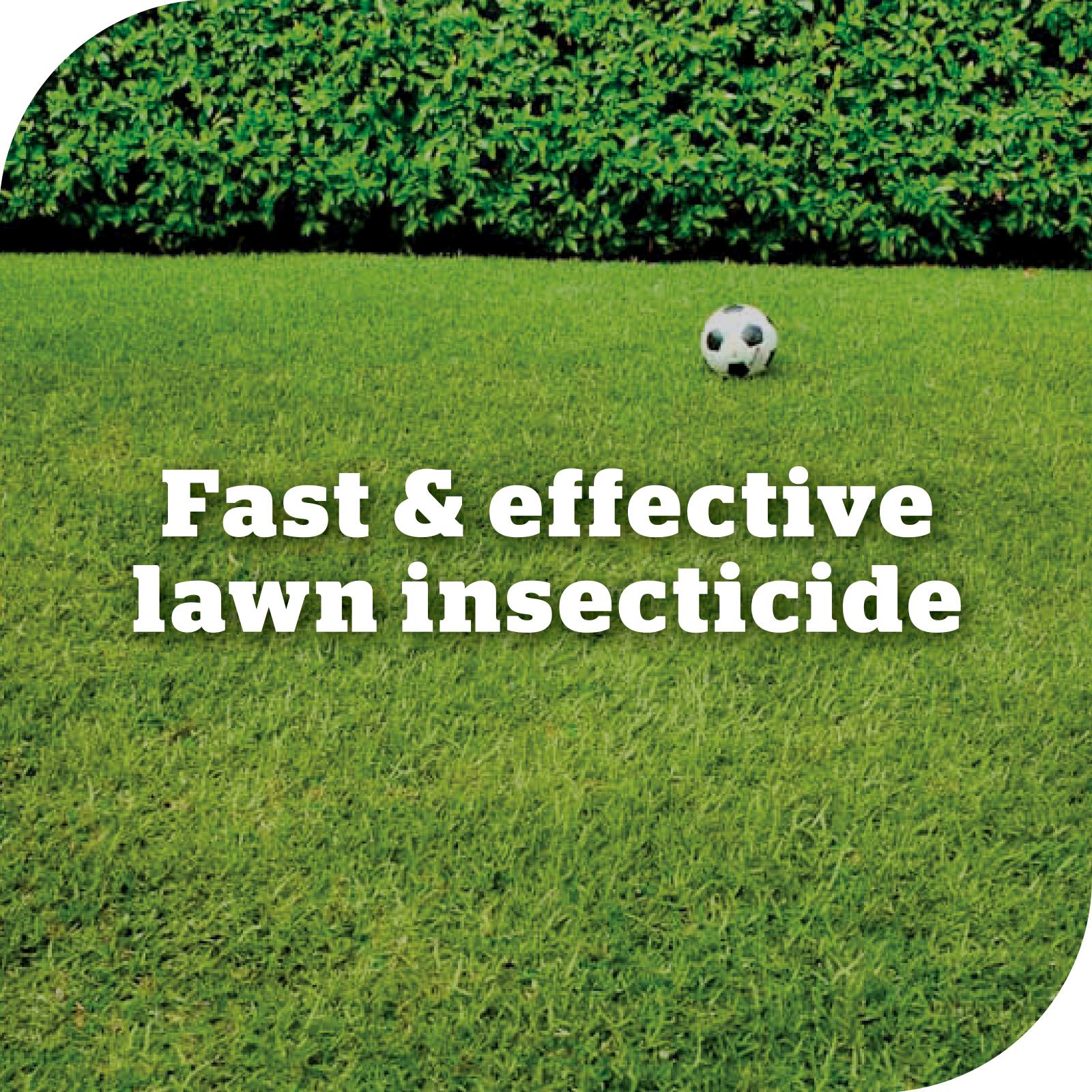 Yates Advanced Lawn Insect Killer 200ml