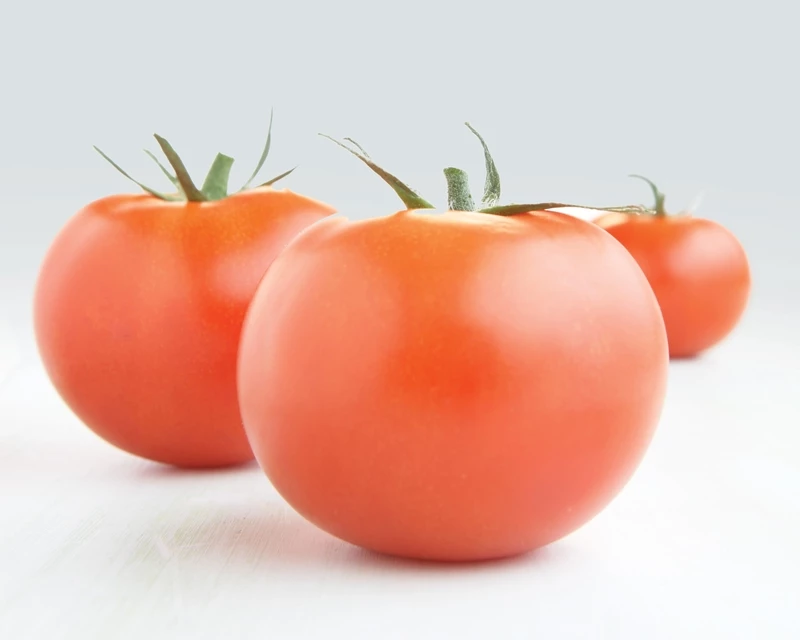 How to Grow Tomatoes | Yates Australia