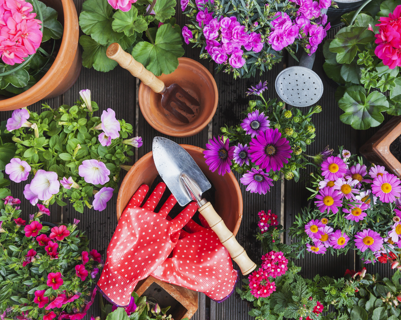 Spring gardening in different climates
