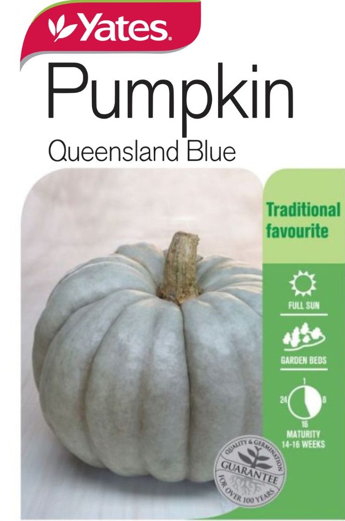 Pumpkin Queensland Blue | Garden Seeds Yates Australia