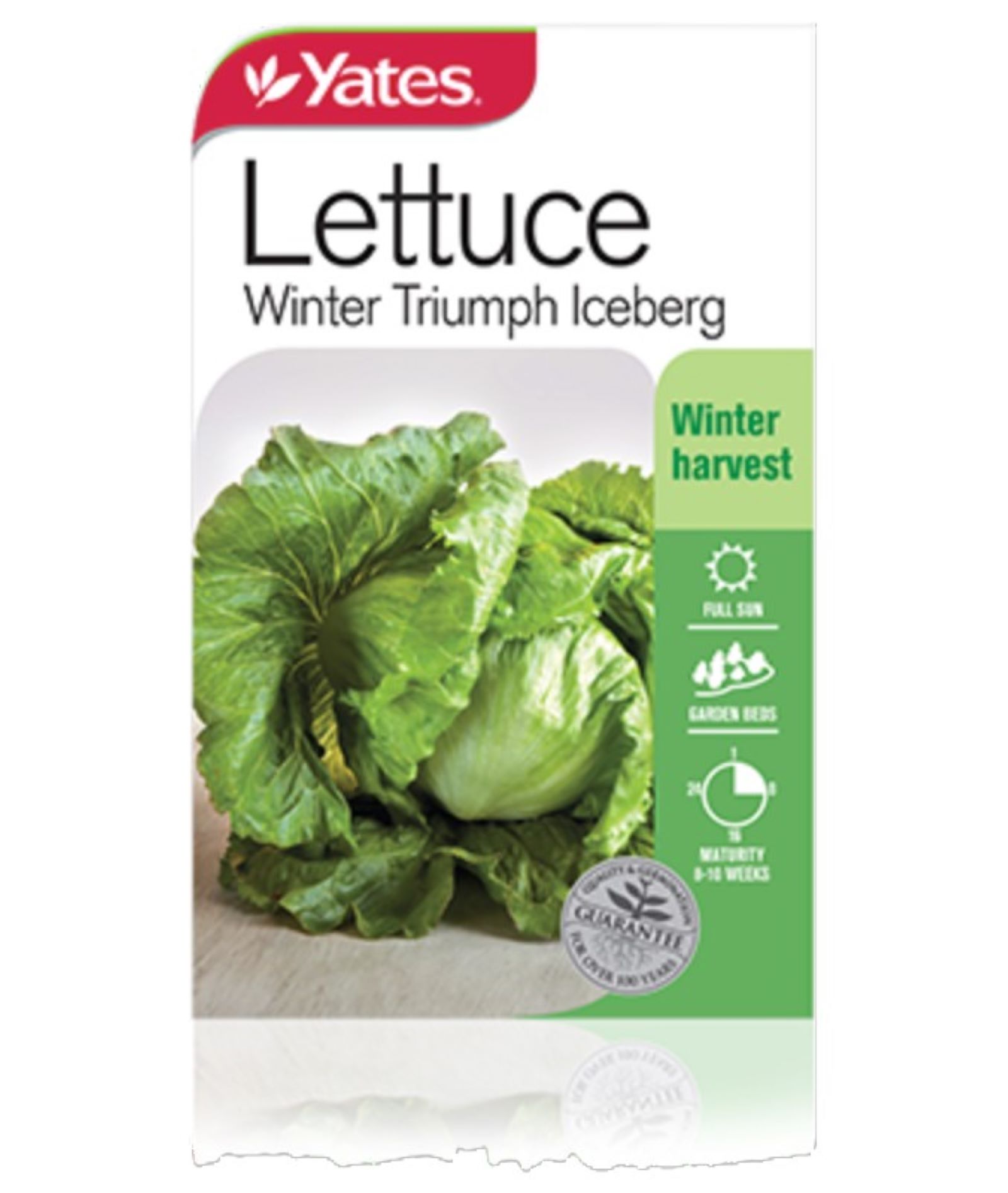 Lettuce Winter Triumph Iceberg | Garden Seeds Yates Australia