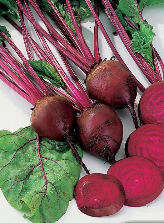 Beetroot Super King | Garden Seeds Yates Australia