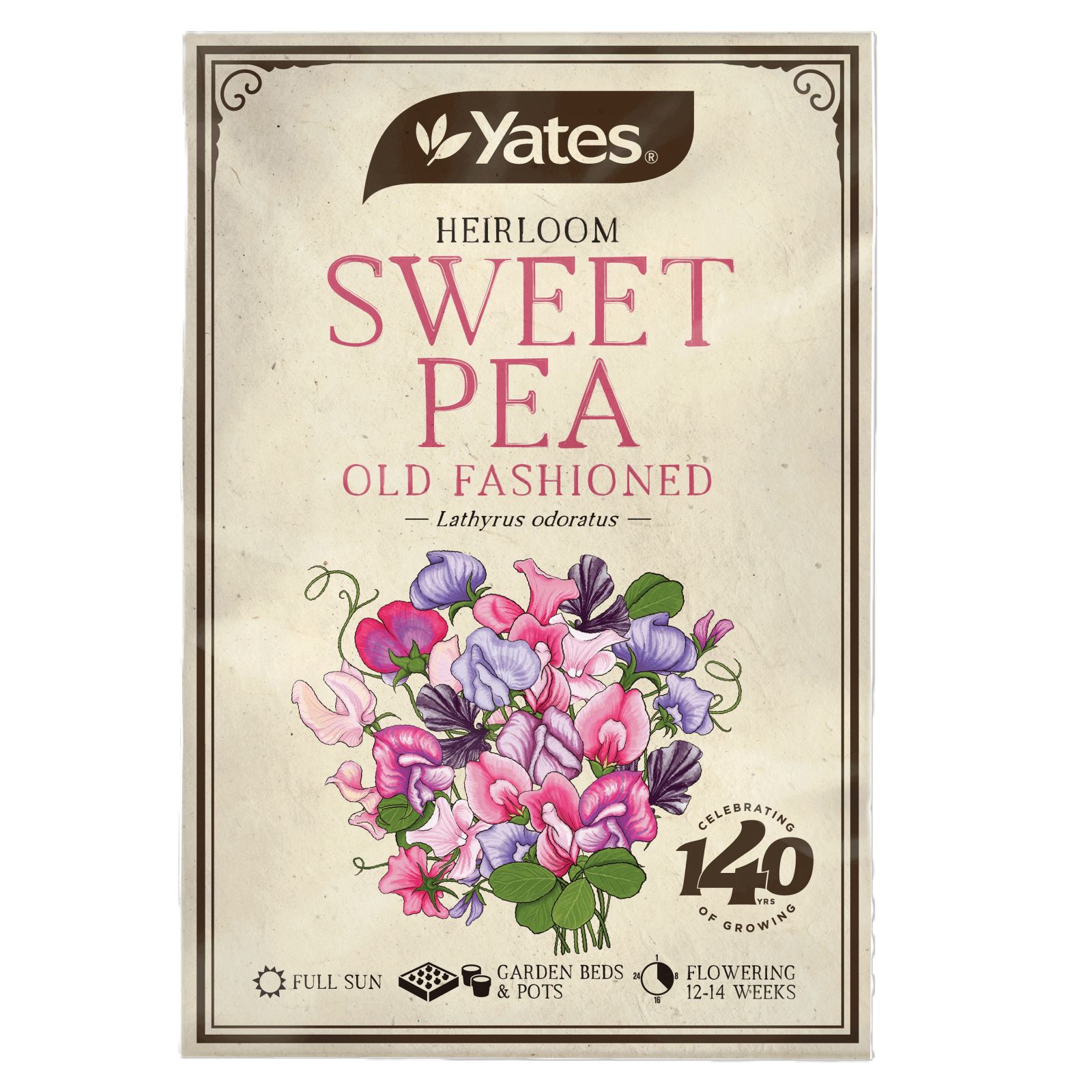 Heirloom Sweet Pea Old Fashioned Seeds