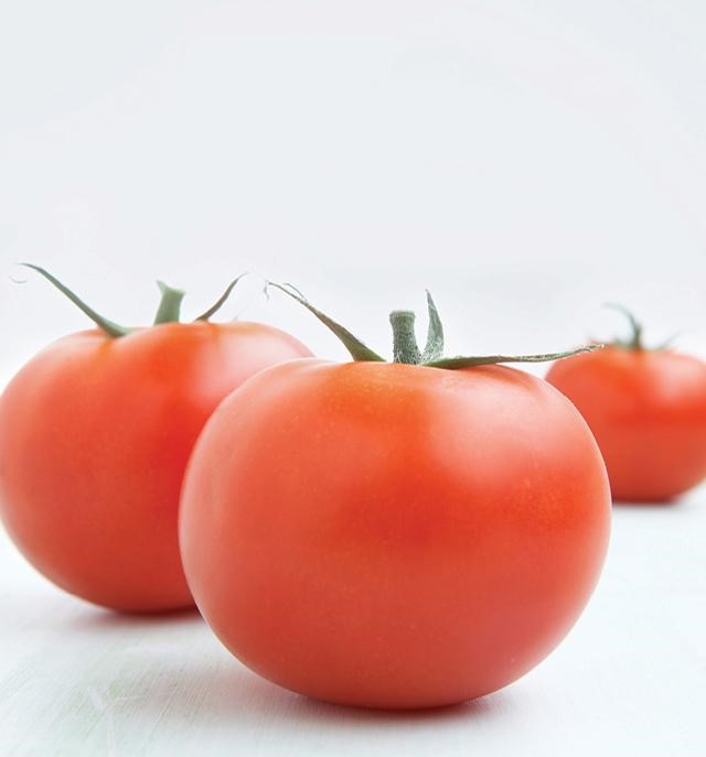 Tomato Grosse Lisse | Garden Seeds Yates Australia