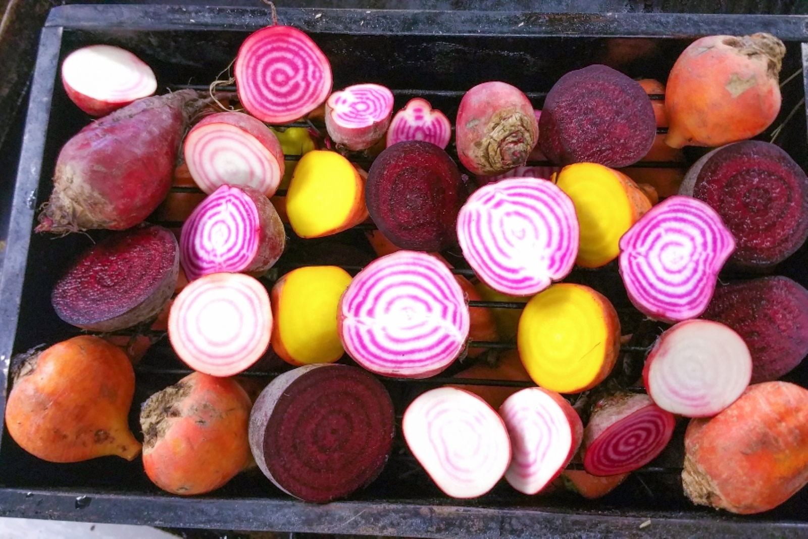 Heirloom Beetroot Mix Seeds