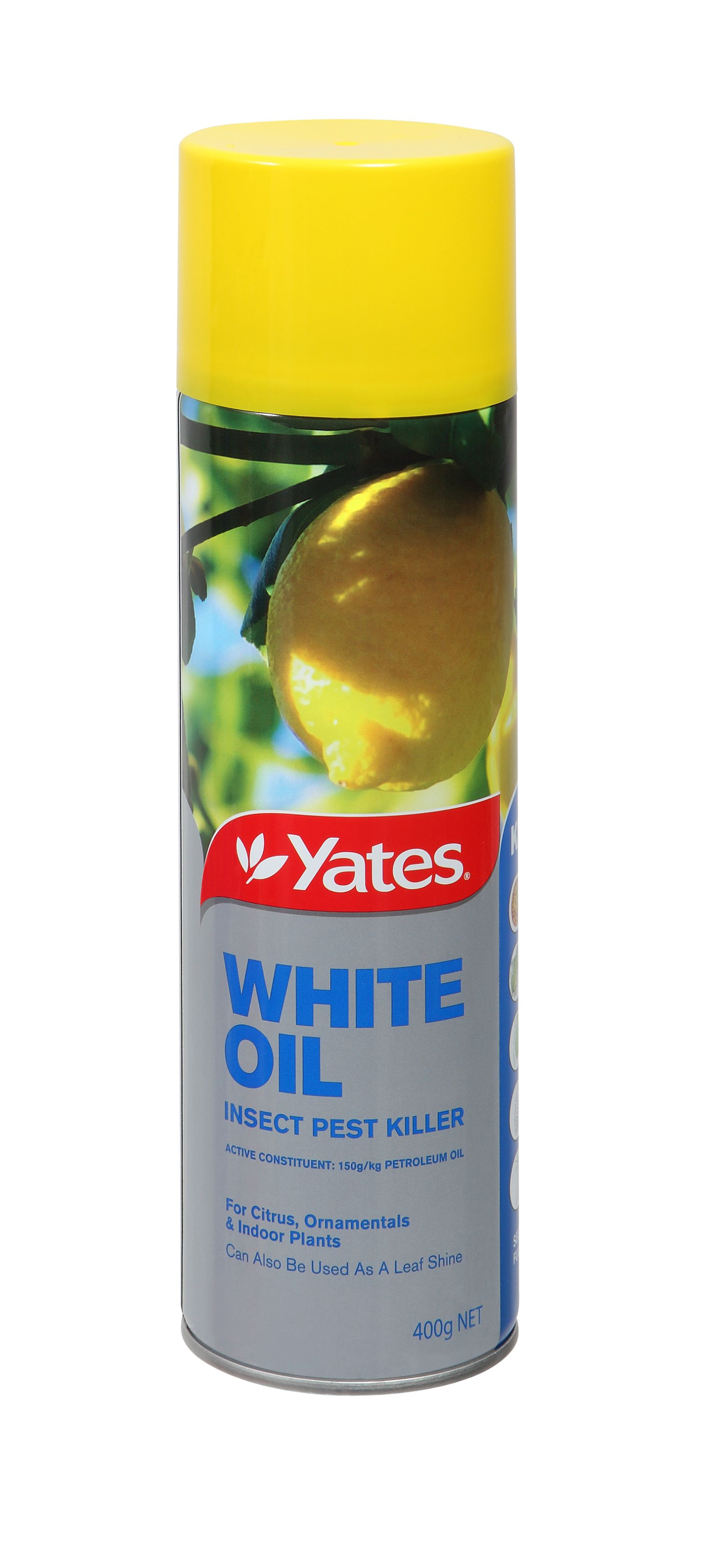 Yates White Oil Insecticide Aerosol