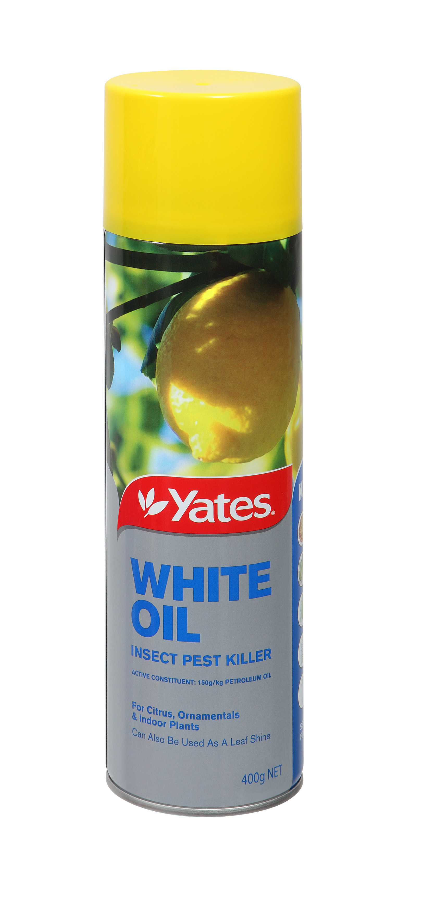 Yates White Oil Insecticide Aerosol
