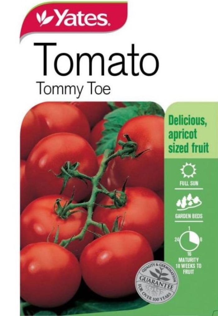 Tomato Tommy Toe | Garden Seeds Yates Australia
